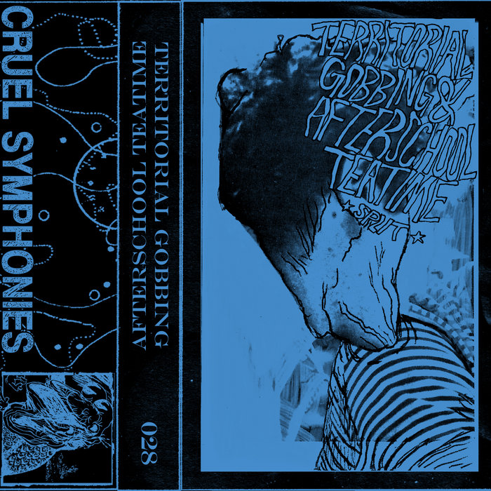Territorial Gobbing / Afterschool Teatime split | Territorial Gobbing ...