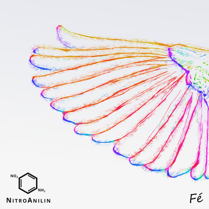 Fé | NitroAnilin
