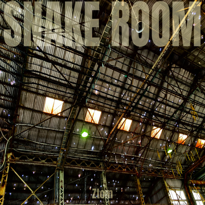 SNAKE ROOM | Ztom Motoyama