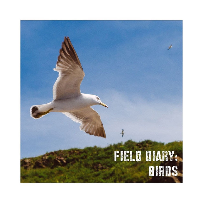 Field diary: birds | various artists | brokentaperecords