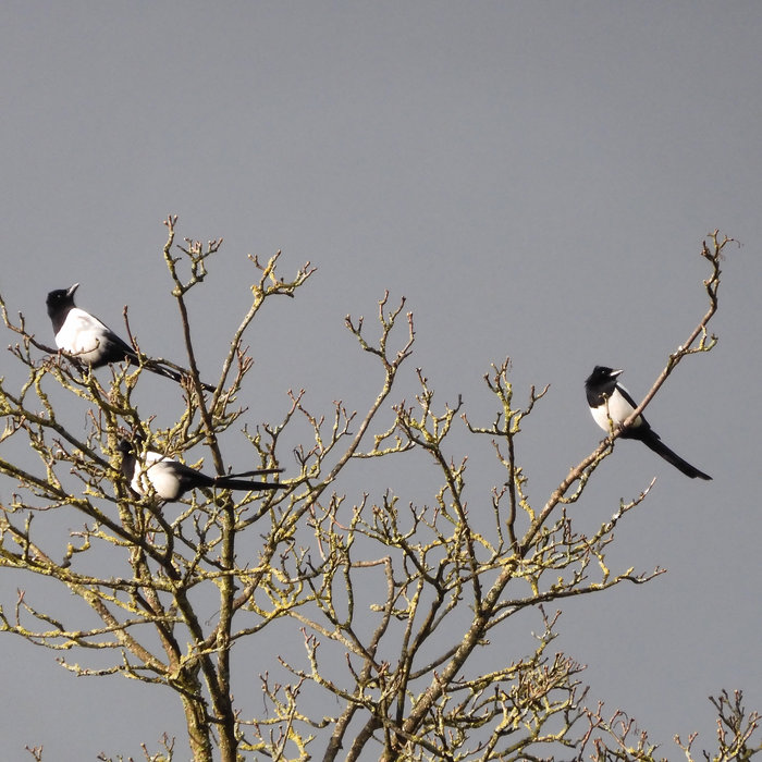 Dub 10 | fishdigital