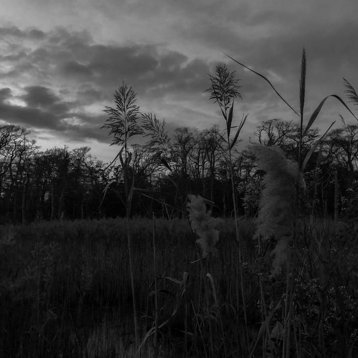 johnberning's collection | Bandcamp