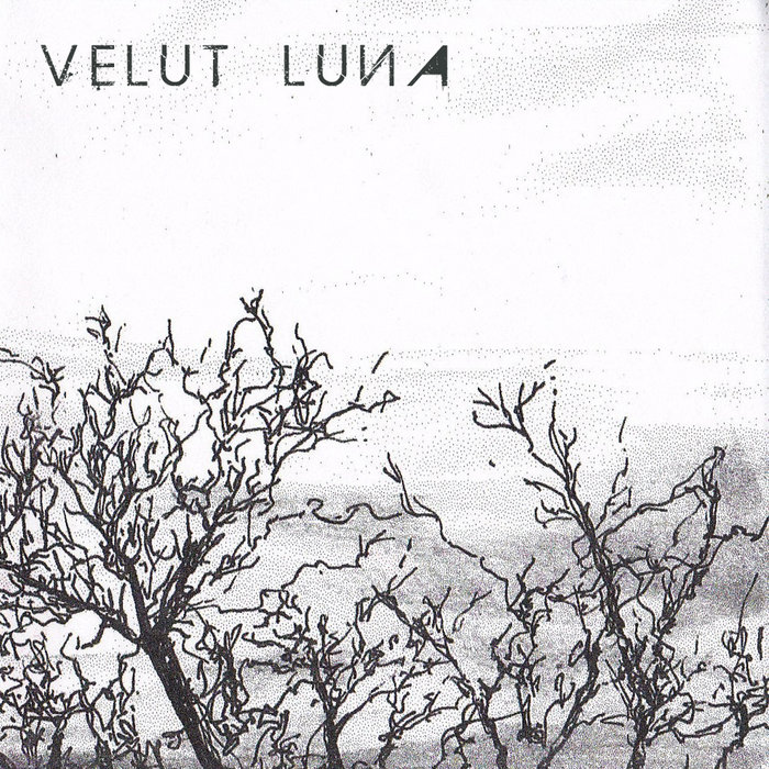 TSR 19 - VELUT LUNA | VELUT LUNA | TOTEN SCHWAN