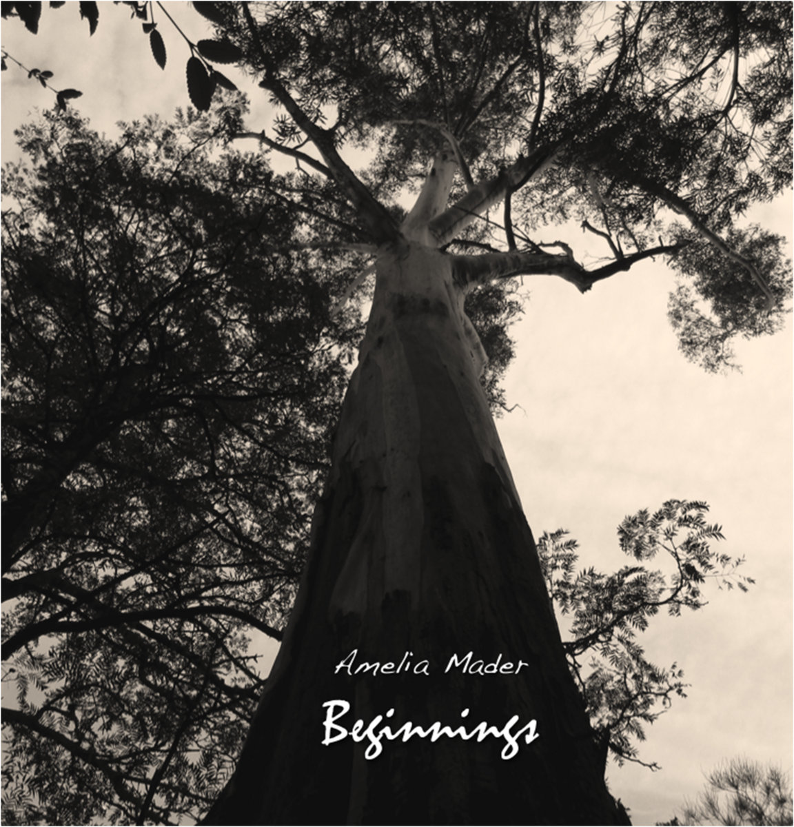 Beginnings-EP | Amelia Mader