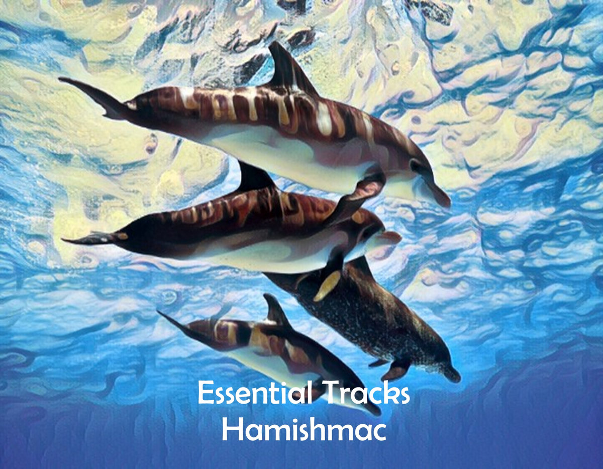 The Essential Tracks | Hamishmac