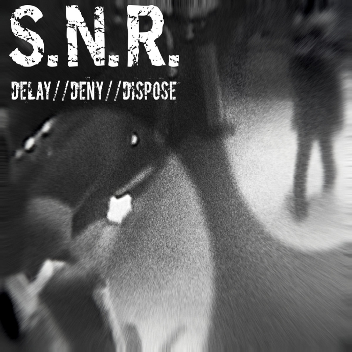 Delay//Deny//Dispose | S.N.R. | Southern Night Records