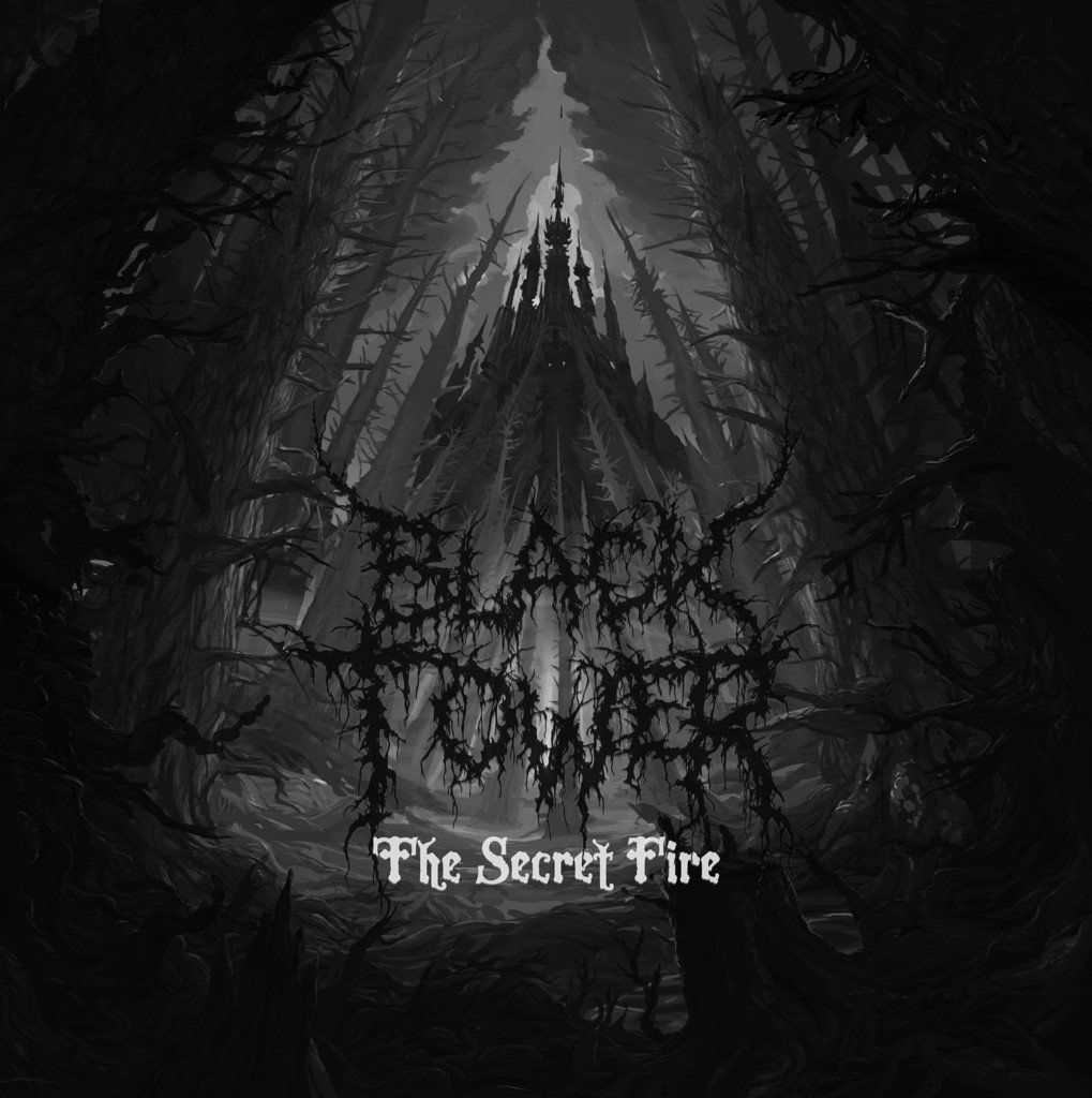 The Secret Fire | BLACK TOWER | No Idea Records