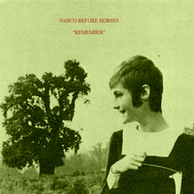 "REMEMBER" | VAHCO BEFORE HORSES | VAHCO