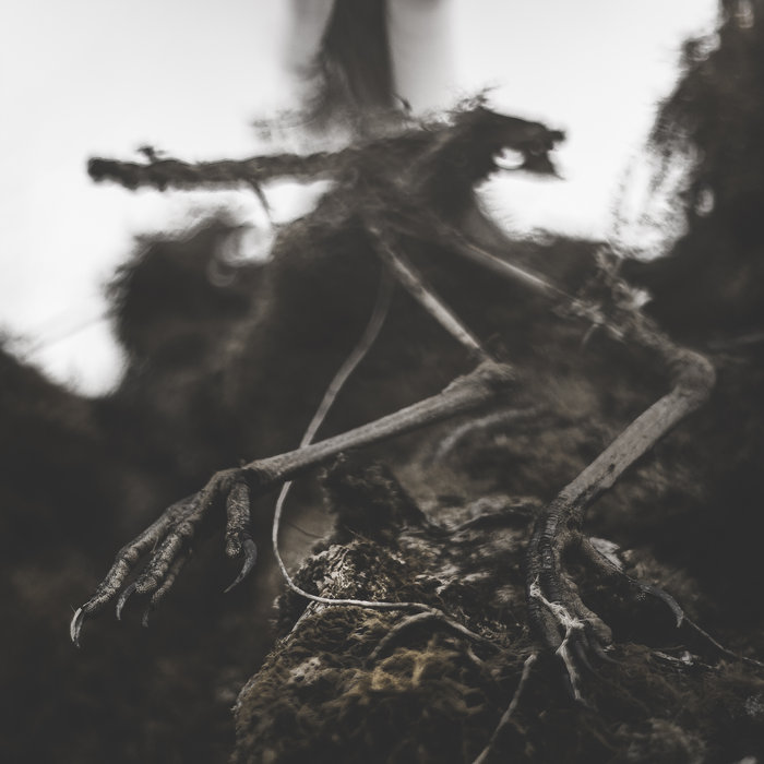 For a Radical Approach of Ecosophy | PENTTI