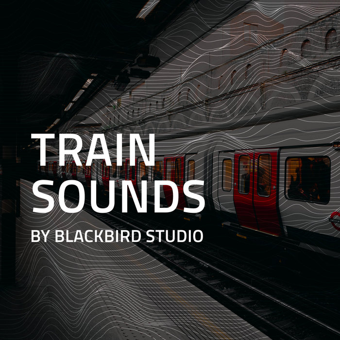 Train Sounds | BlackBird Sound Effects