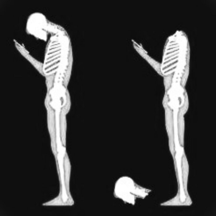 Shape | Struct | Static Disc