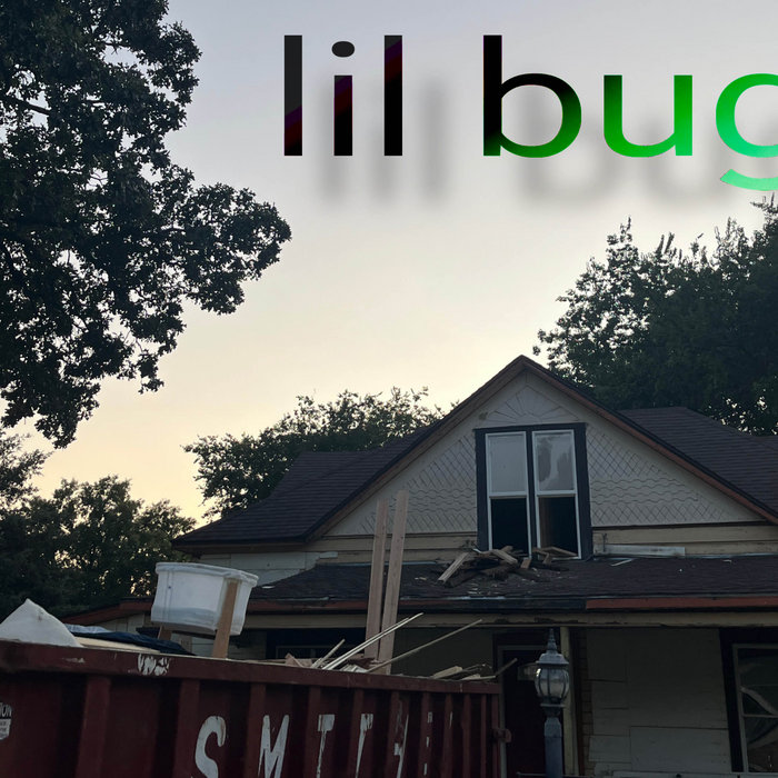 lil bug | Lil Bug | bug
