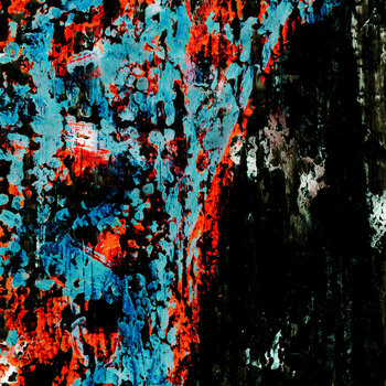 Music Steve Bicknell