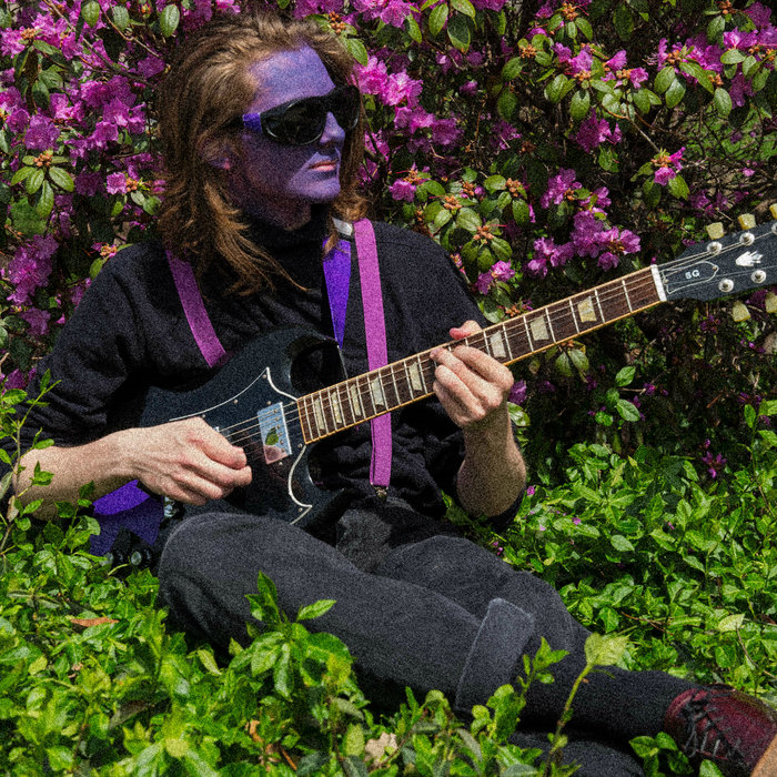 Green Veins | Purple Frank