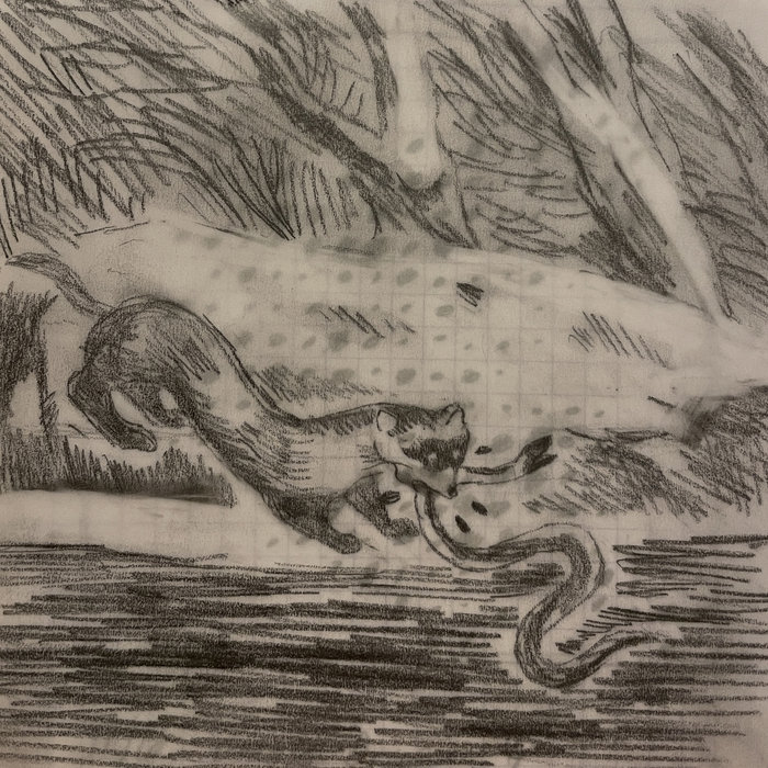 xmas set for cricket radio_12 17 25 | derek white | Room in Heaven