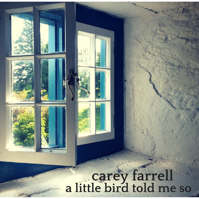 A Little Bird Told Me So: Covers 2013 | Carey Anne Farrell