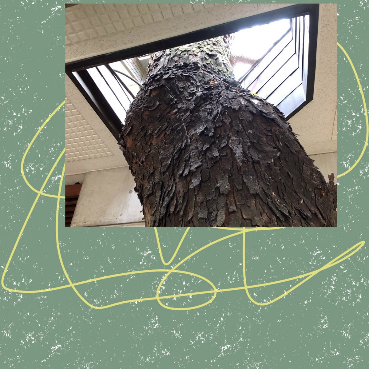 Open World Loops | Alex Homan