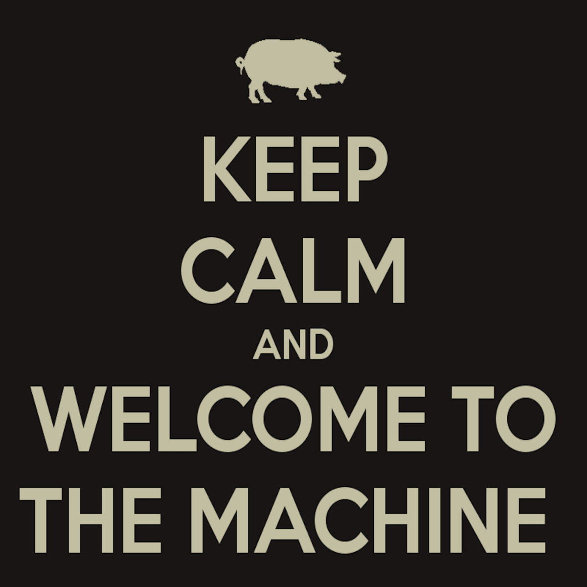 Pink Floyd - Welcome To The Machine (Brooklyn Safehouse Bootleg) | Hani