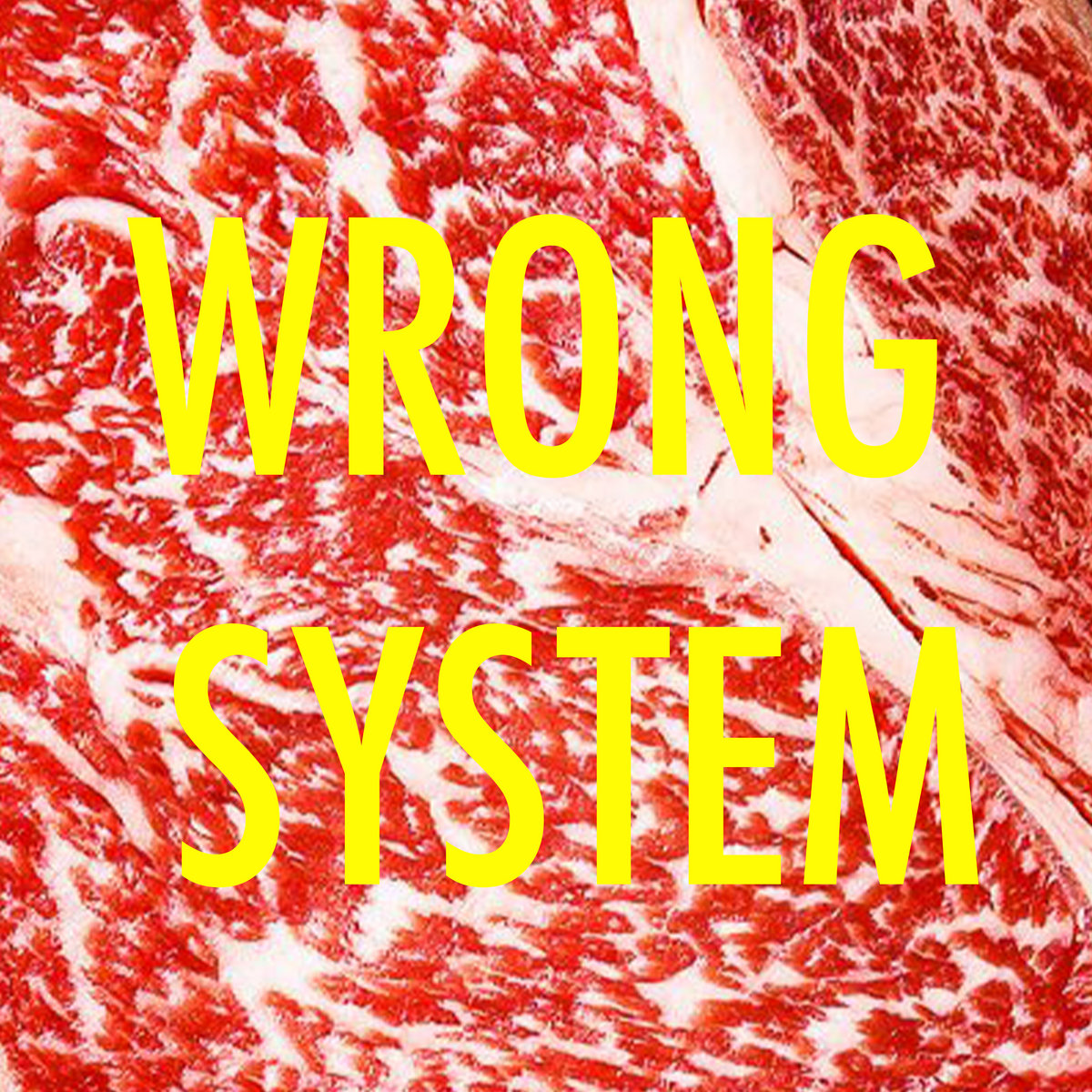Wrong System | Tronik Youth | Nein Records