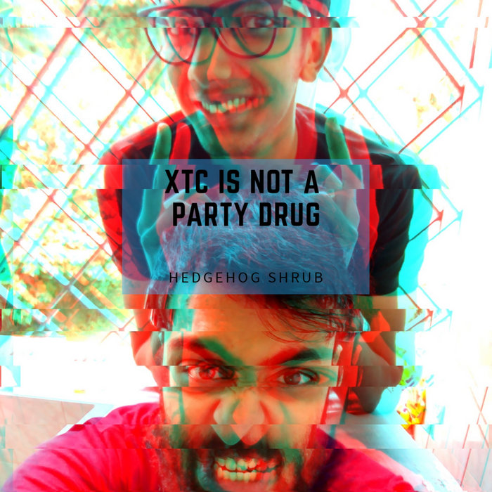 XTC Is NOT a Party Drug | Hedgehog Shrub