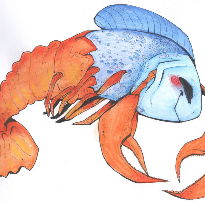 Ani ryba,ani rak... | Nahodni Znami