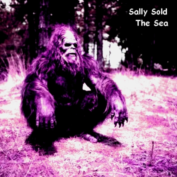 Clown In An Ape Suit | Sally Sold The Sea