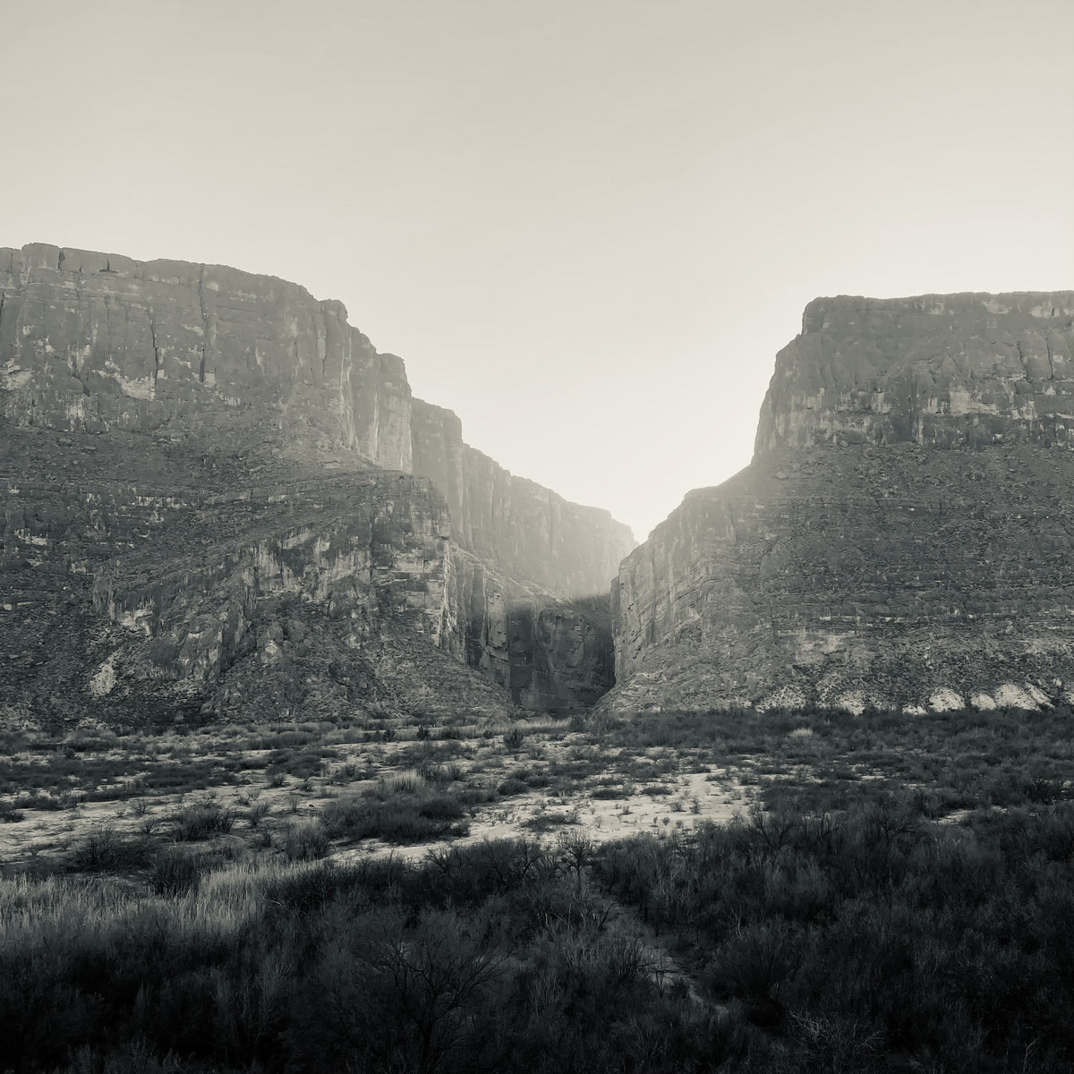 The Martyr | Brandon Laib