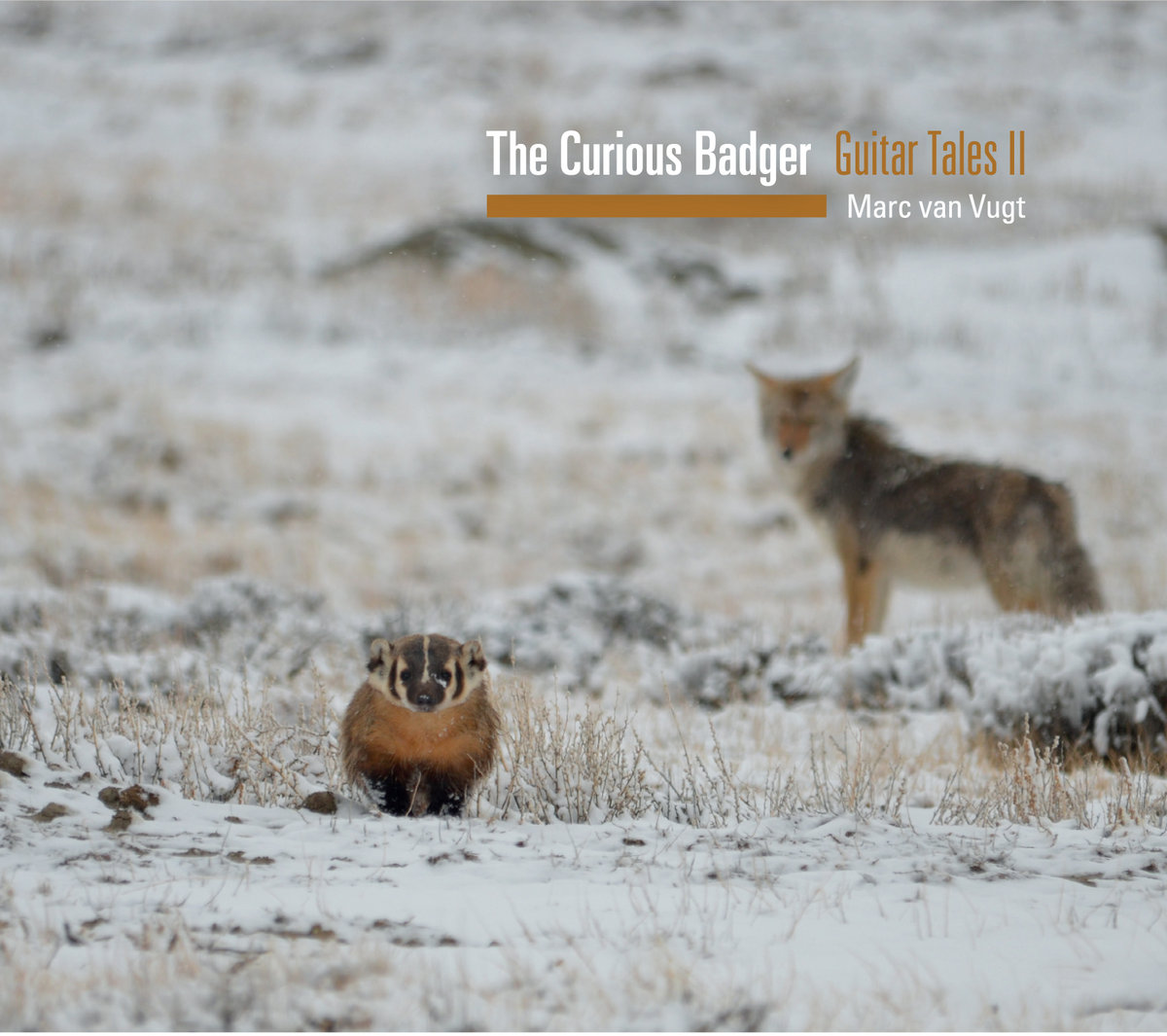The Curious Badger | Marc van Vugt | Baixim records