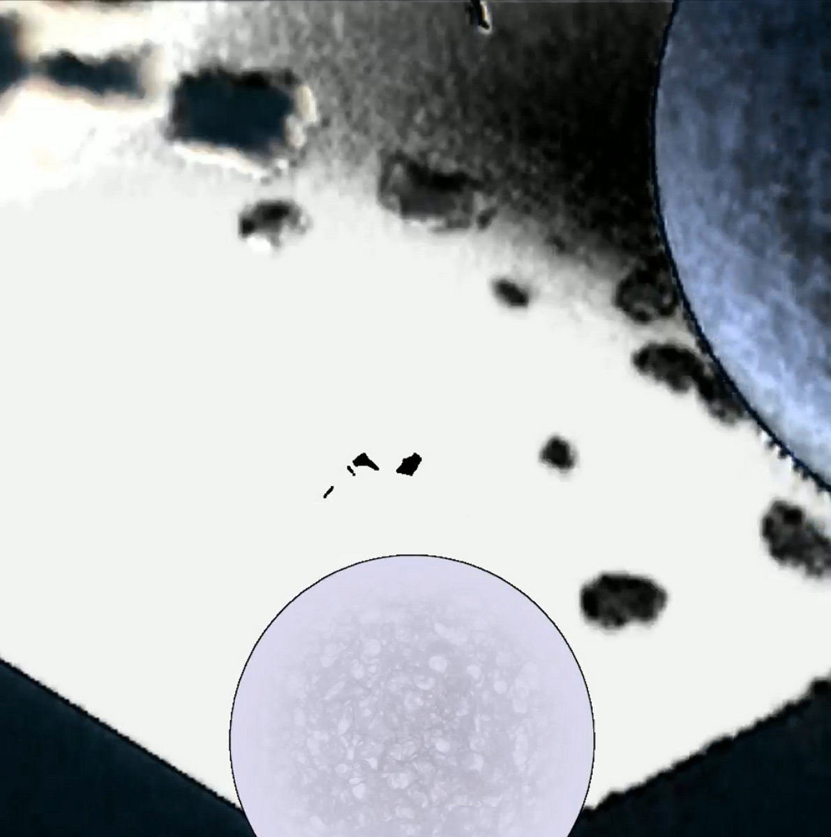 Non-Binary CEO | Jacob Audrey Taves