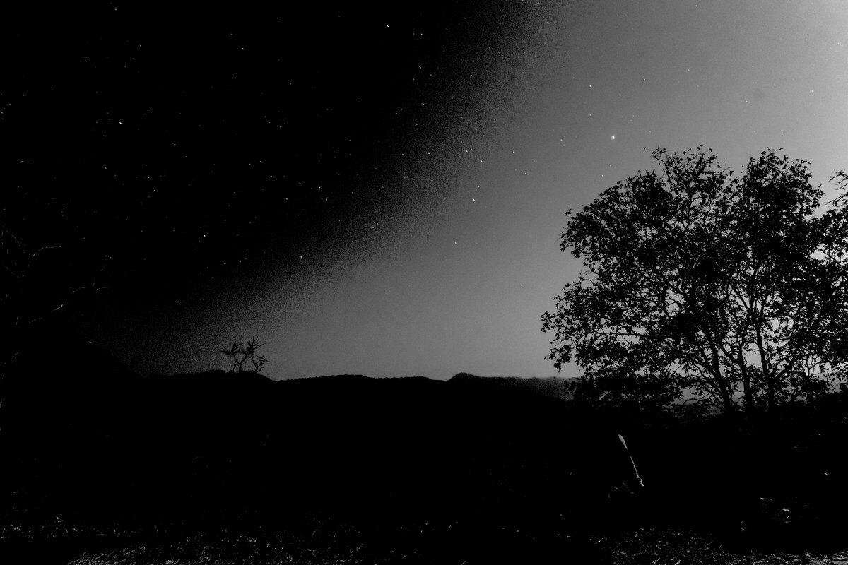 False Awakening Nightmares | Primordial Singularity
