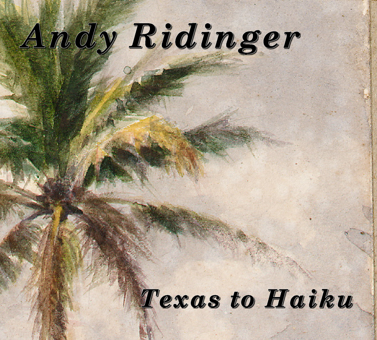Texas to Haiku | Andy Ridinger