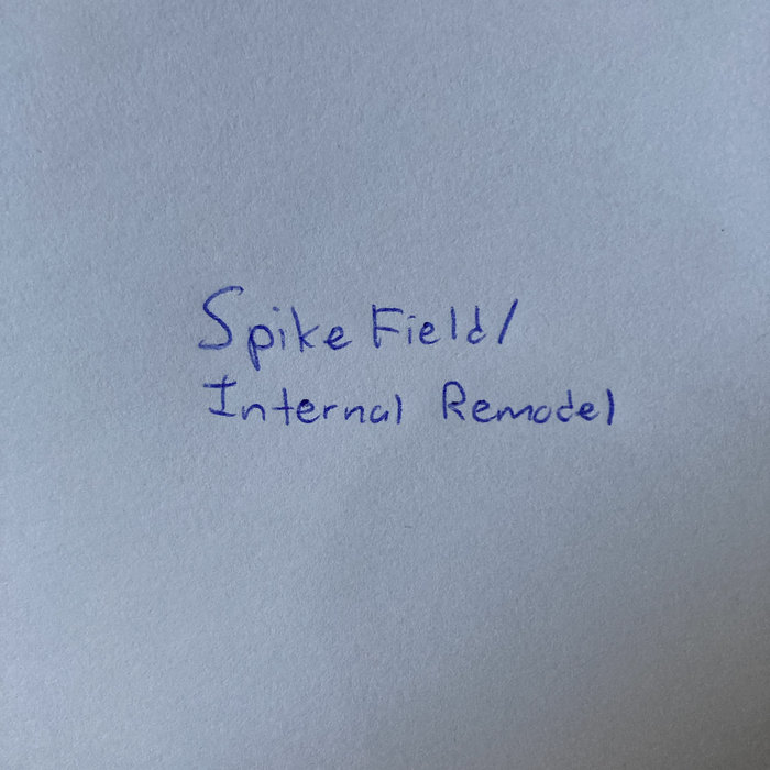 Spike Field/Internal Remodel | Sam Erickson