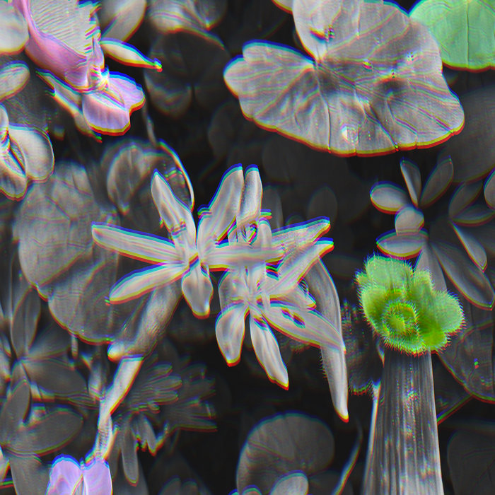 You have to grow from the inside out | Barac