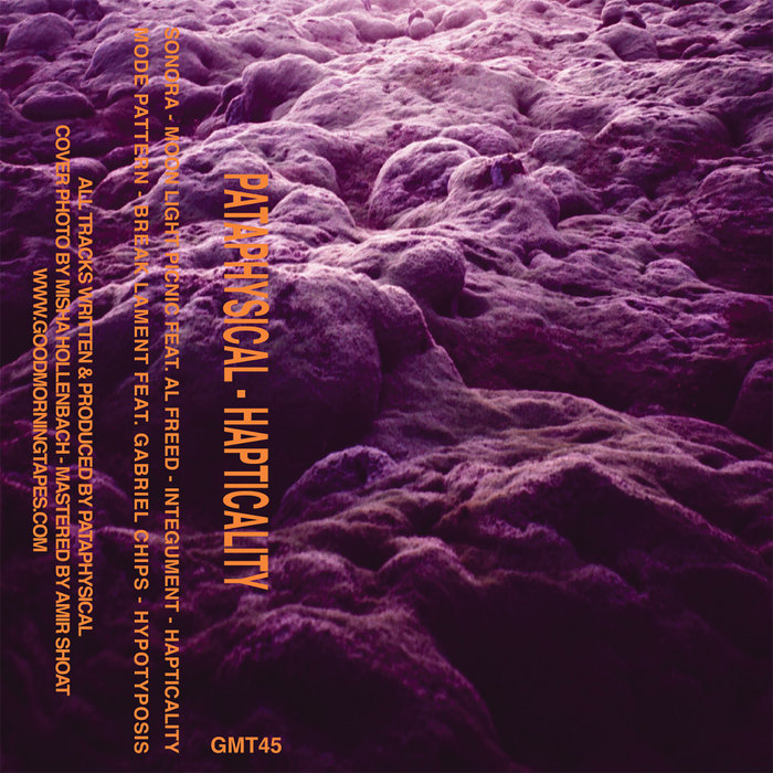 Hapticality | Pataphysical