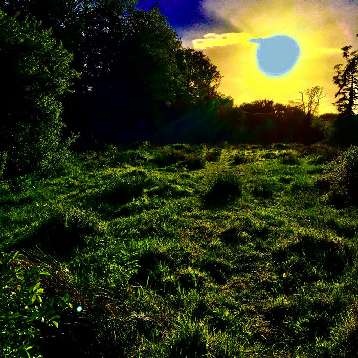 Loose Pages | Bootleg Videotape