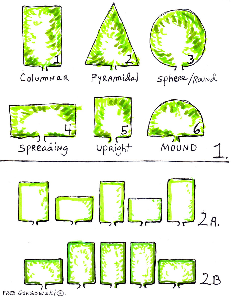 Plants Year 3 Homework | Scador | tmasunimsi
