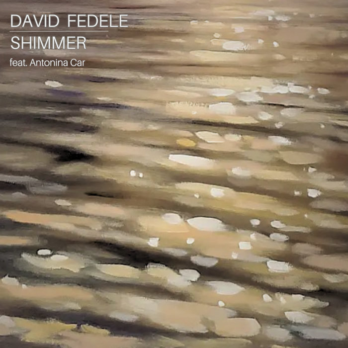 Shimmer | David Fedele (feat. Antonina Car) | David Fedele