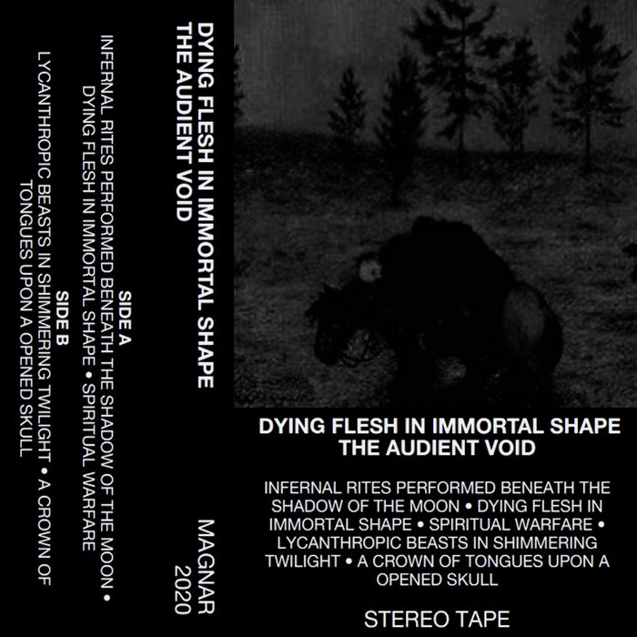 Dying Flesh In Immortal Shape | The Audient Void
