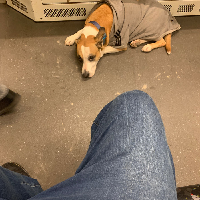 Yellow Wednesday | San