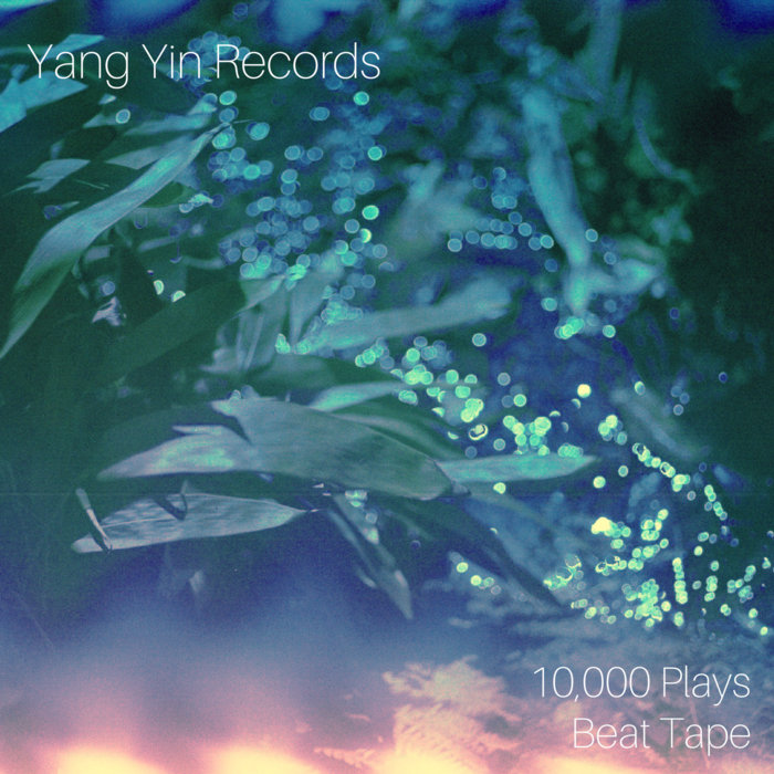 Intro (Prod. Action Frank) | Yang Yin Records