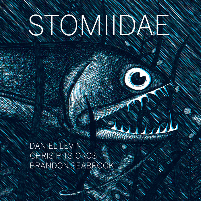 Stomiidae | Stomiidae (Daniel Levin • Chris Pitsiokos • Brandon ...