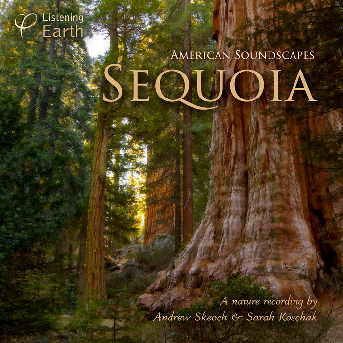 American Soundscapes - Sequoia | Andrew Skeoch