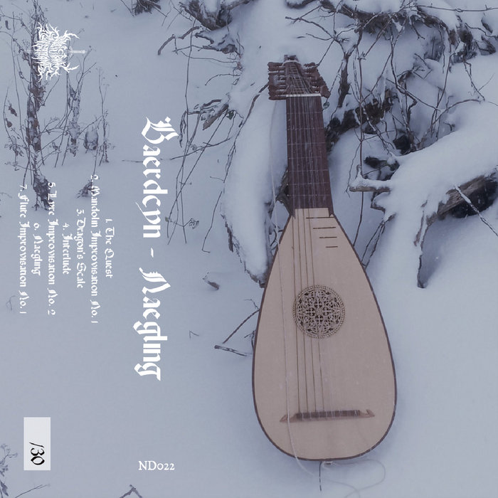 Naegling | Baerdcyn | Nocturnal Dissonance