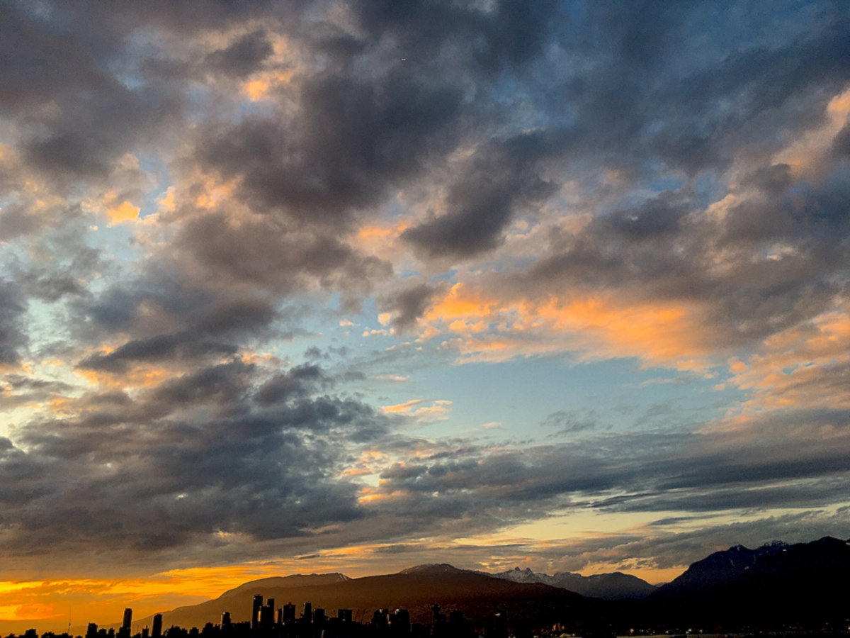 "world has a pulse" | Junosaur