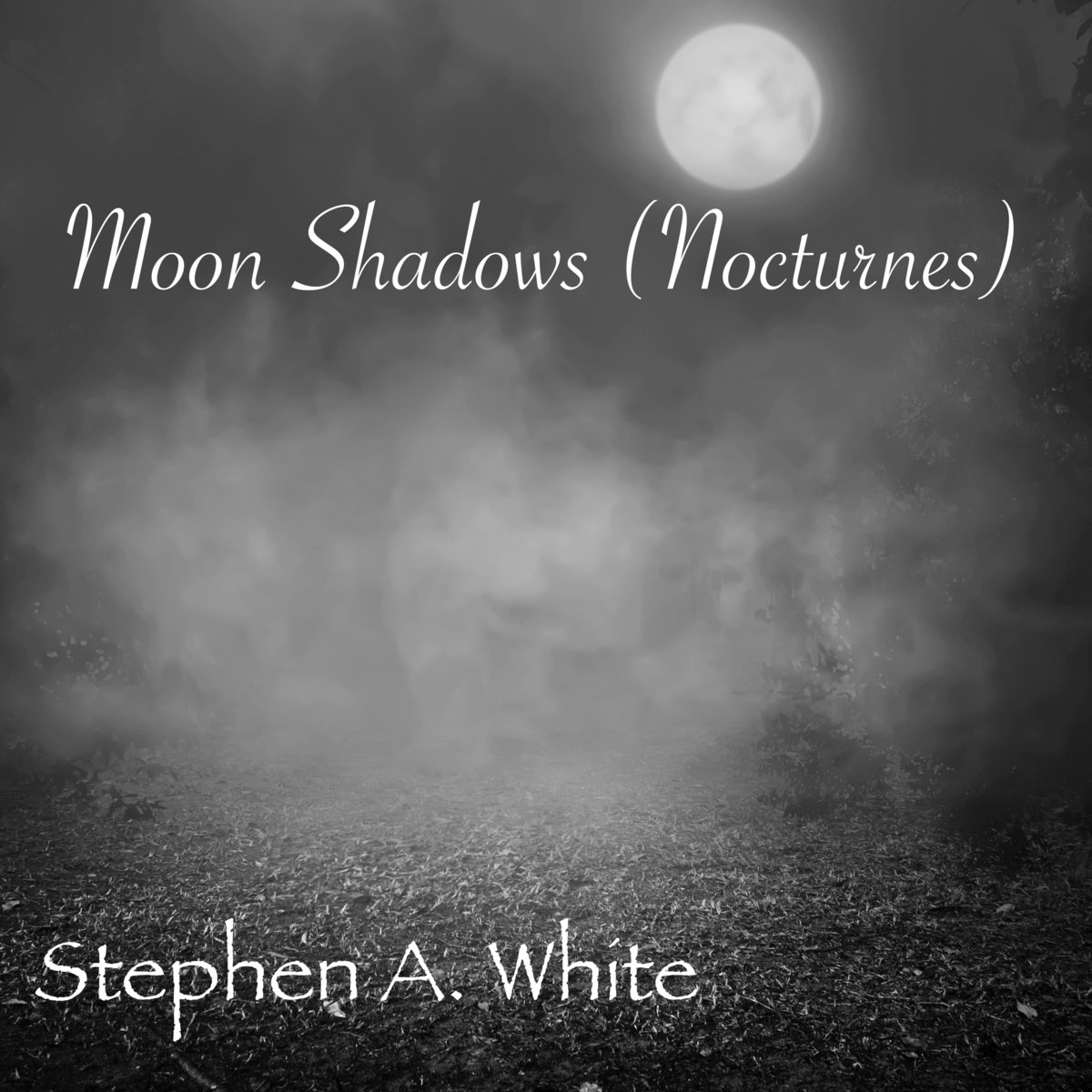 Moon Shadows (Nocturnes) | Stephen A. White