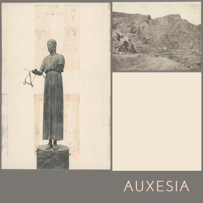 Auxesia | Auxesia