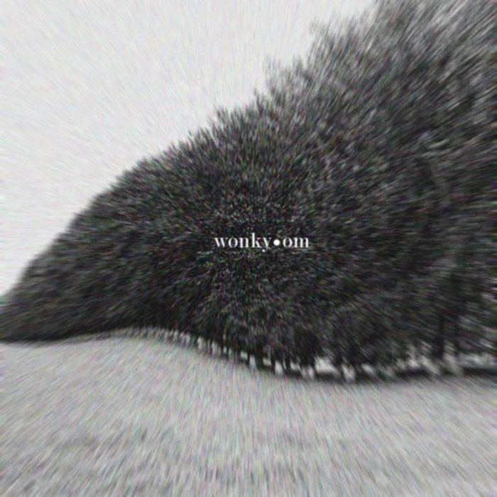 #TW23 - Wonky - Om | Wonky | Teapression Waves Record Label