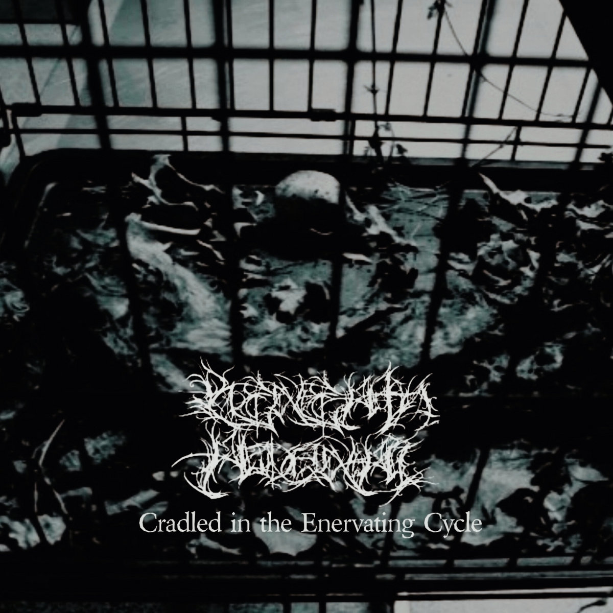 Cradled in the Enervating Cycle | Beneath Adonai | Vile Proclivities