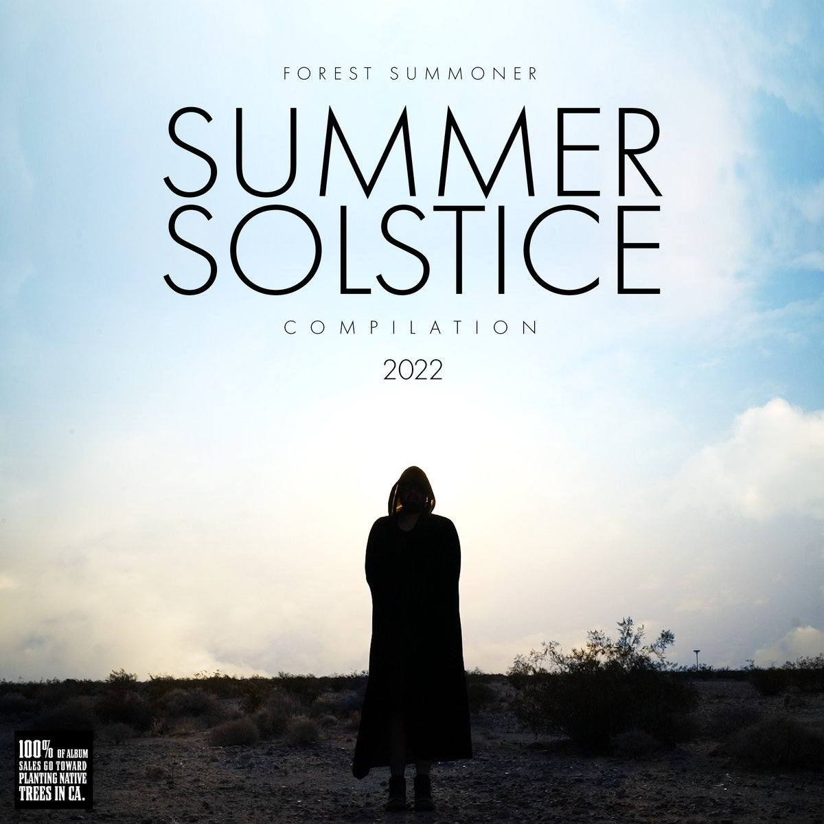 Summer Solstice Images 2022