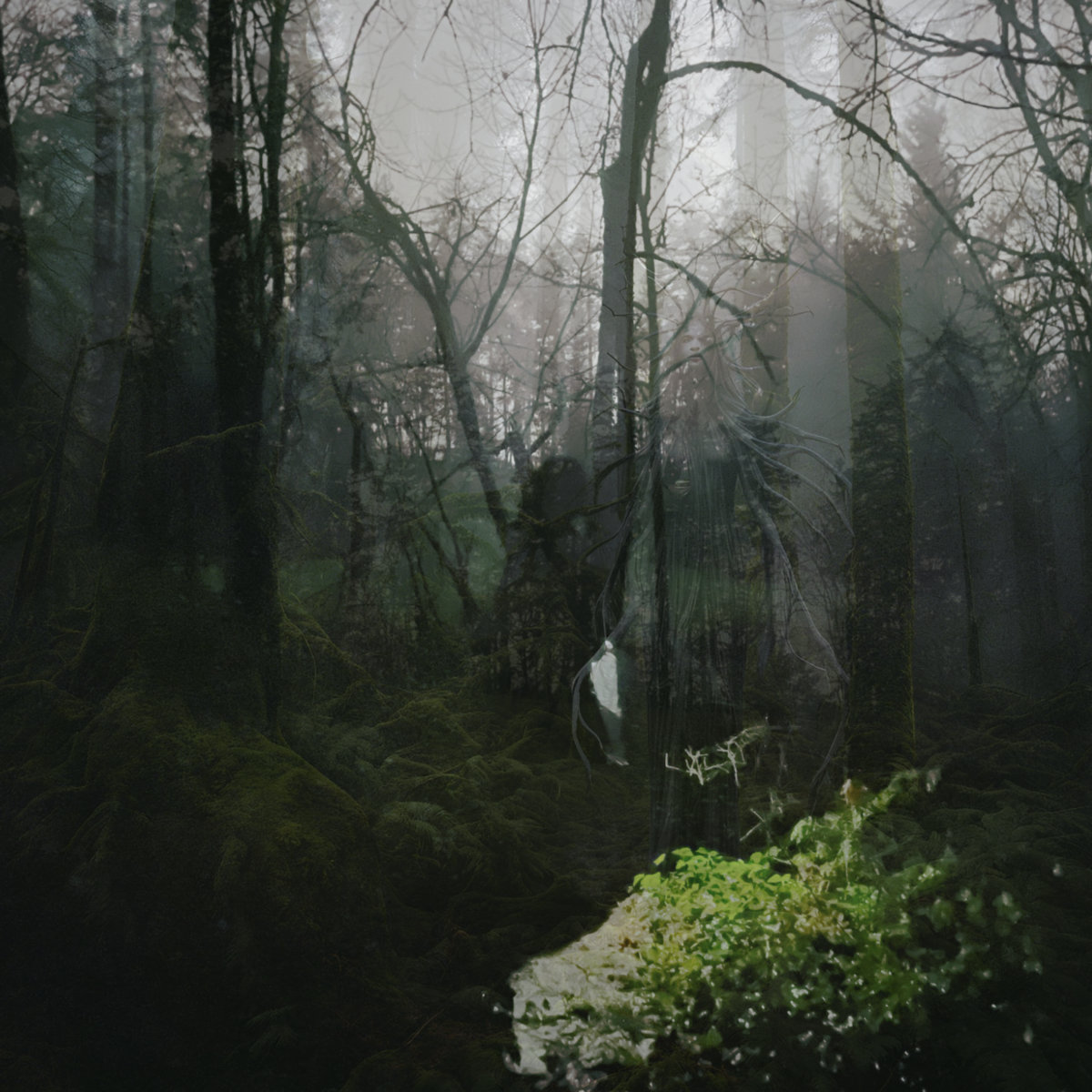 dryads beckon those who prey towards their forests unending | aeonexit